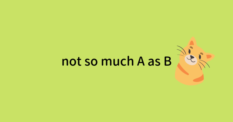 not so much A as B 構文の考え方 – ネコでも解ける、お気楽英語